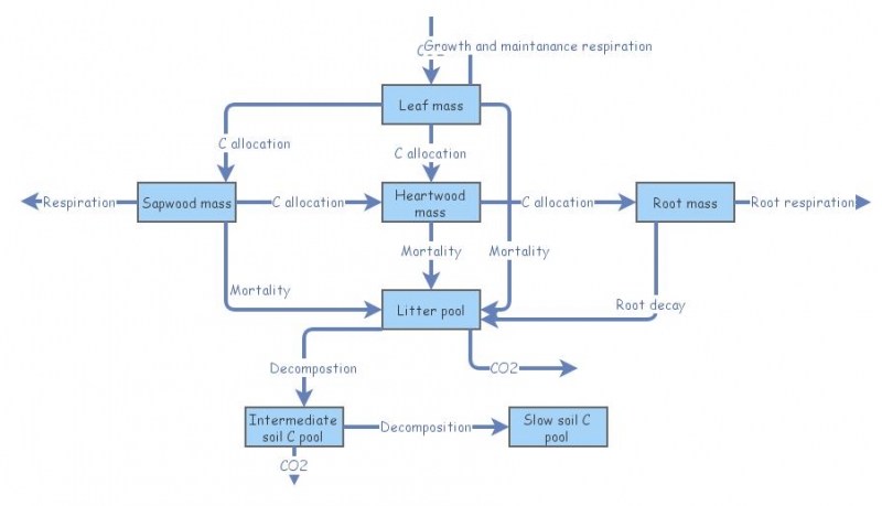 C cycle in LPJ model | Insight Maker