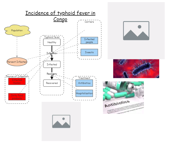 Typhoid fever | Insight Maker