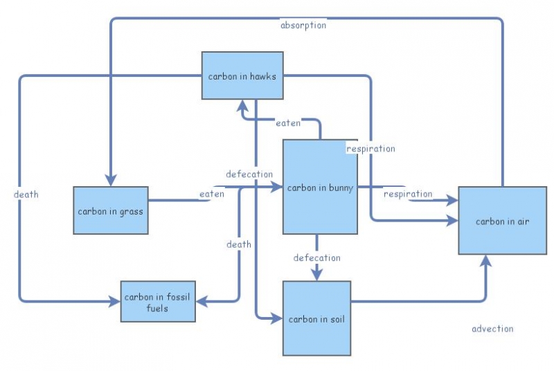carbon model | Insight Maker