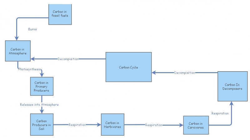 Carbon Cycle | Insight Maker