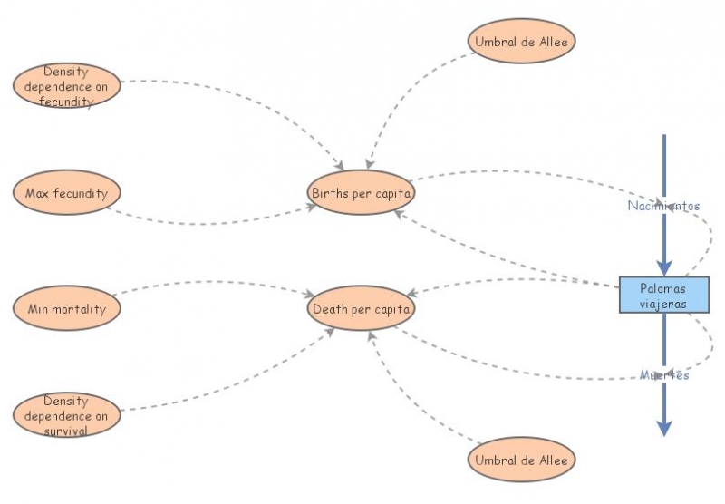 El efecto Allee | Insight Maker