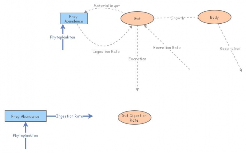 Phytoplankton initial model | Insight Maker