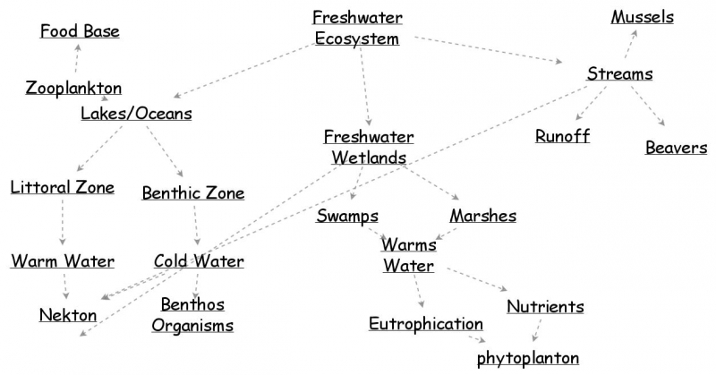 Ch. 7 Concept Map | Insight Maker