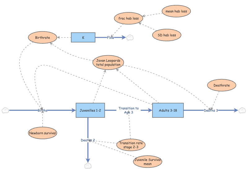 javan model birthrate variant | Insight Maker
