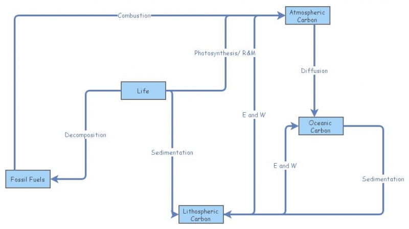 Carbon Cycle | Insight Maker