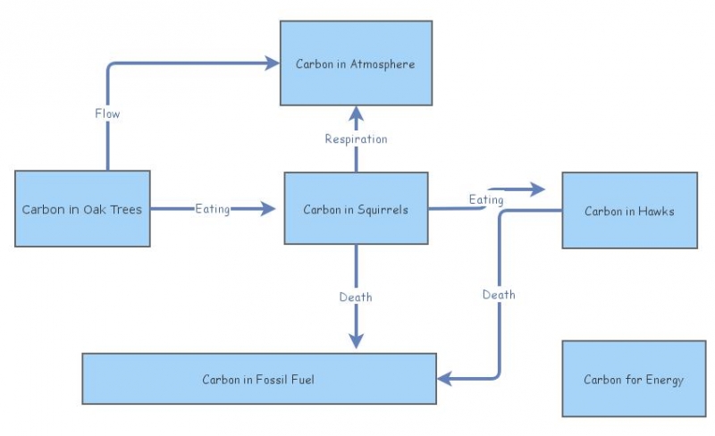 Carbon in Oak Trees | Insight Maker