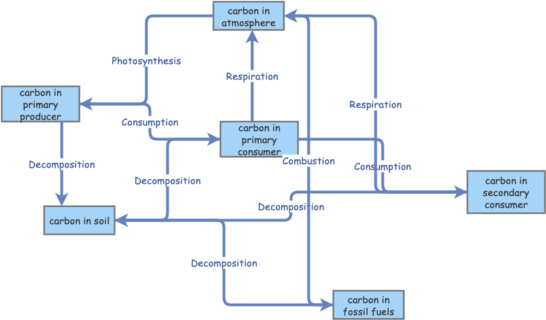 Carbon | Insight Maker