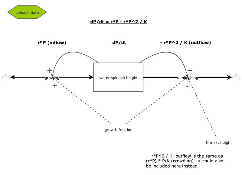 241010_water spinach calibration | Insight Maker