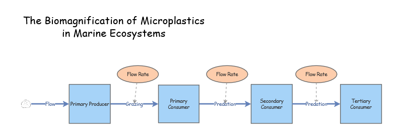 The Biomagification of Microplastics in Marine Ecosystems | Insight Maker