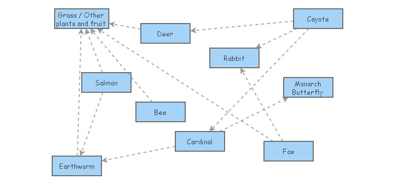 Food web | Insight Maker