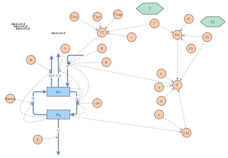 Grass model | Insight Maker