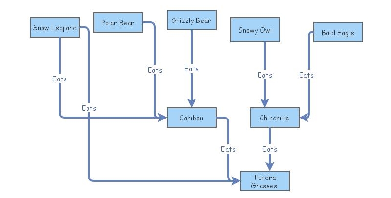 Tundra Food Web | Insight Maker