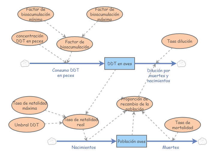 Ejercicio 2) - Relacion CC DDT con tasa de natalidad | Insight Maker