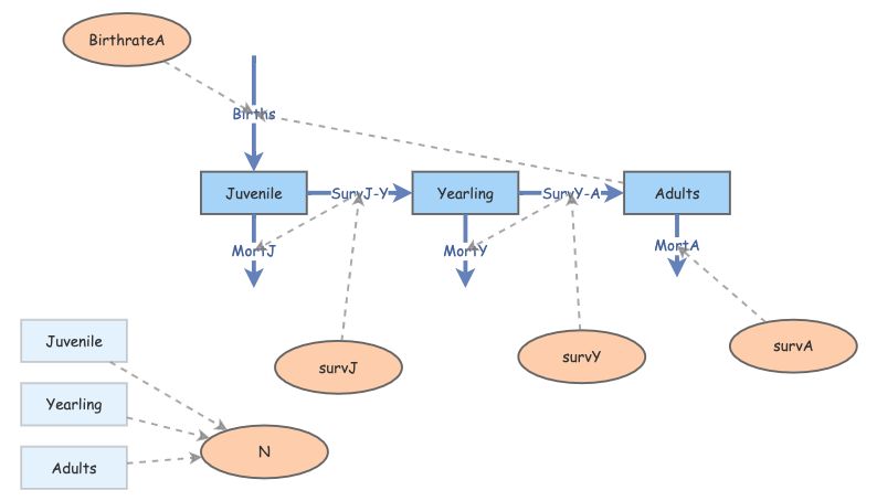 Age structure model for lab done in class | Insight Maker