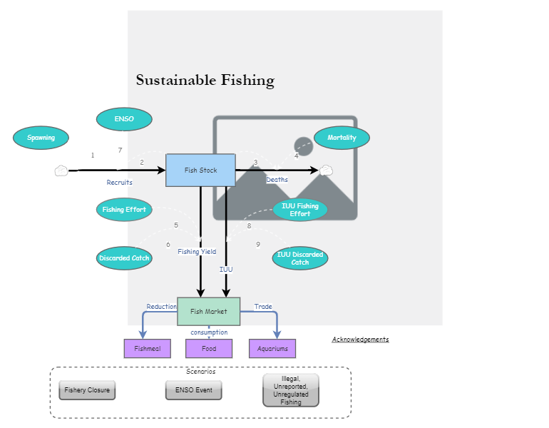 Clone of Clone of Stage 4 - Sustainable Fishing Model | Insight Maker
