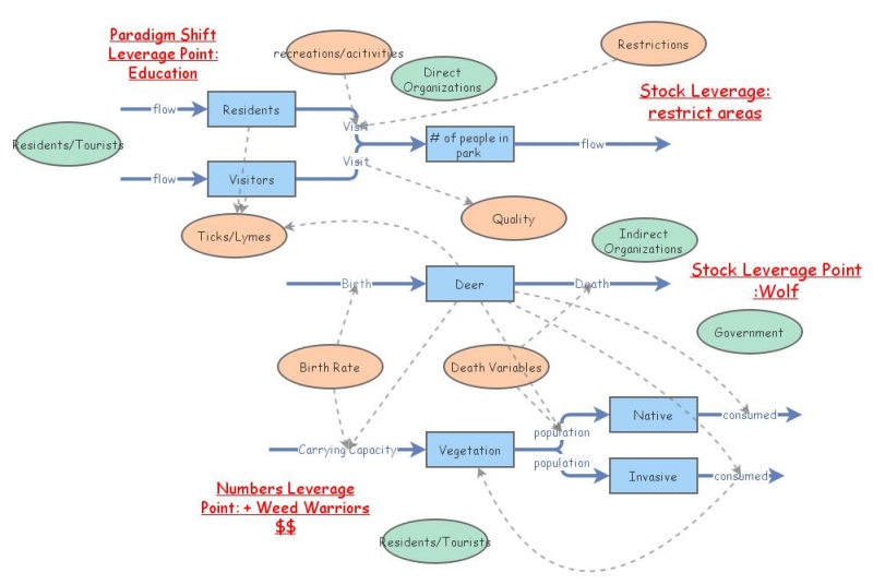Deer | Insight Maker