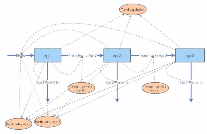 Age-structure model | Insight Maker