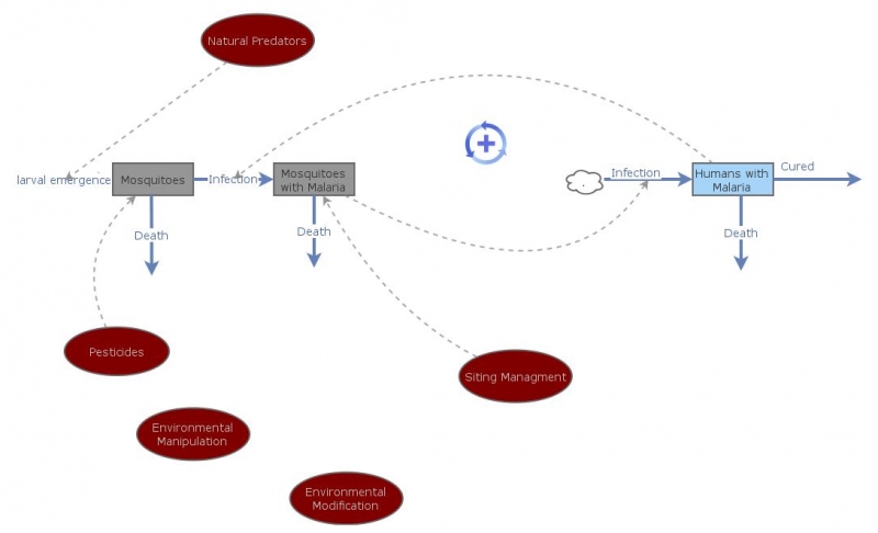 Clone of Malaria model | Insight Maker
