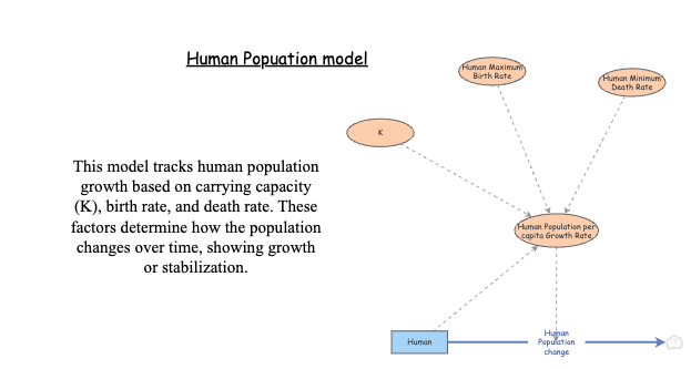 human population model 2 | Insight Maker