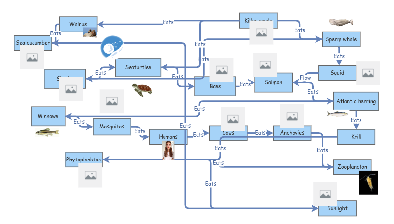 Food web | Insight Maker
