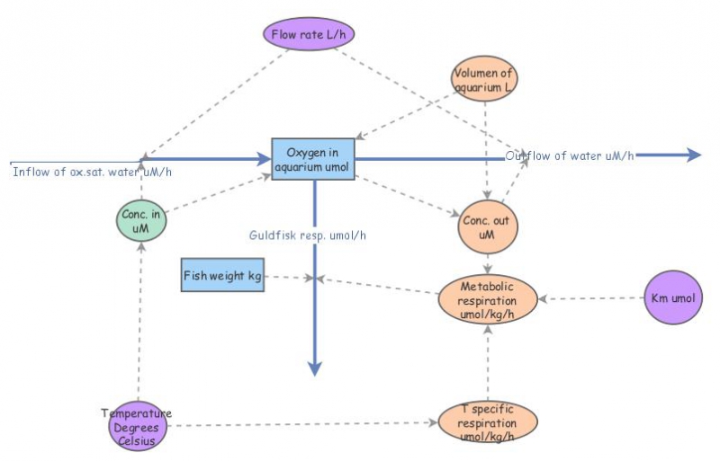 Km fitting, goldfish | Insight Maker