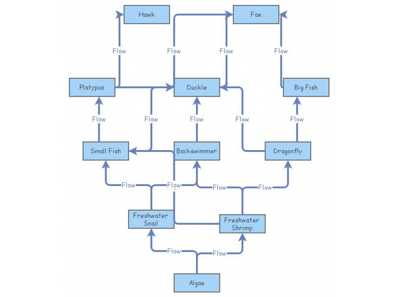 Duckle Food Web | Insight Maker