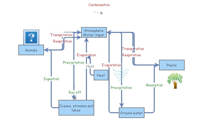 Clone of Water Cycle | Insight Maker