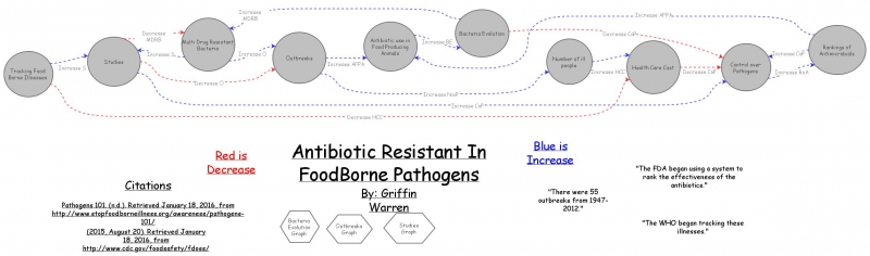 Food Borne Pathogens | Insight Maker