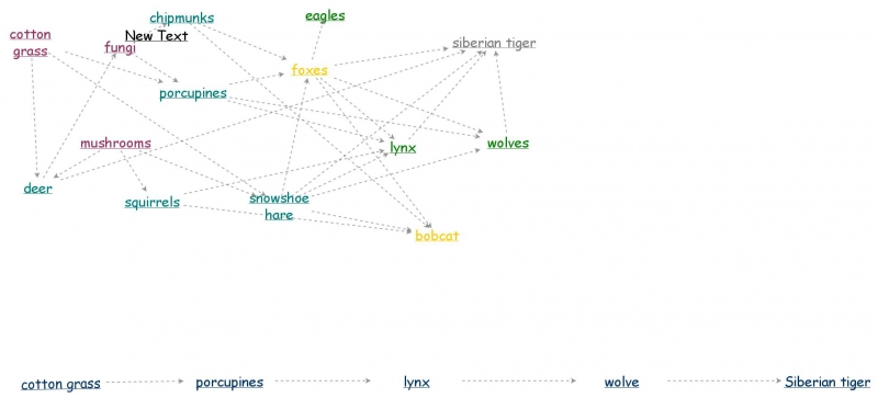food web of russian taiga | Insight Maker