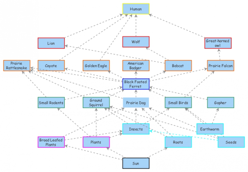 Clone of Black-Footed Ferret - Food Web | Insight Maker