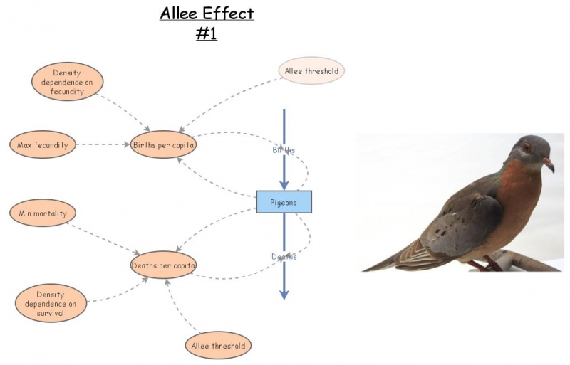 Clone of Allee Effect 1 | Insight Maker