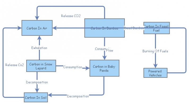 Carbon Cycle | Insight Maker