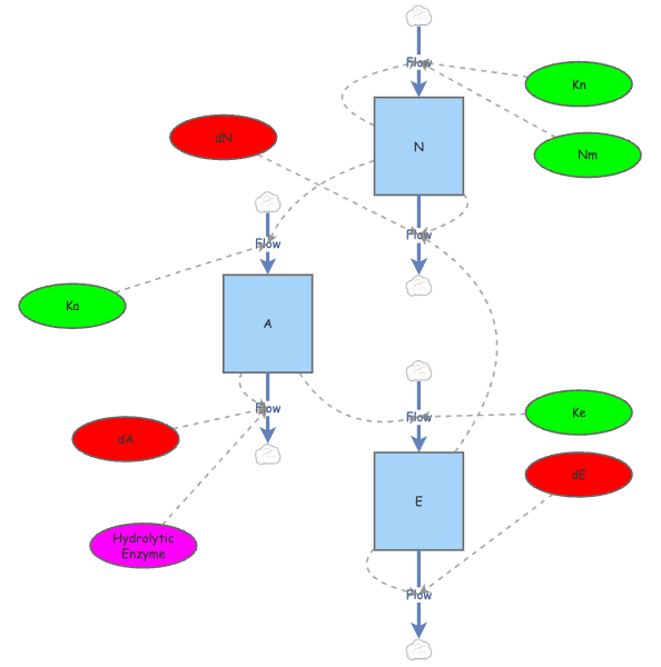 Assignment 2 | Insight Maker