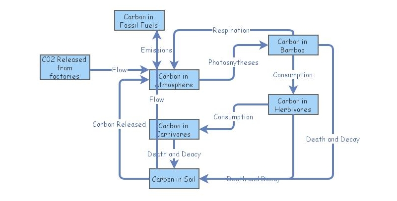 Carbon Cycle | Insight Maker
