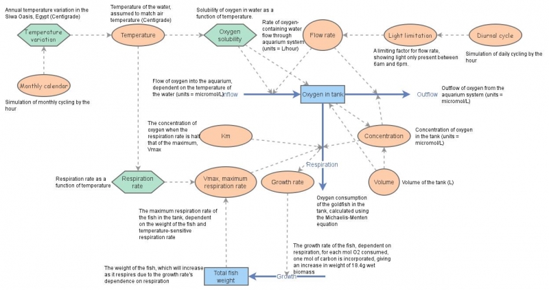 Assignment 4: Tilapia Aquaculture model | Insight Maker