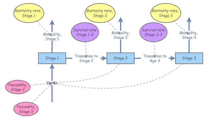 Lab Act 4 - Exercise 2c | Insight Maker