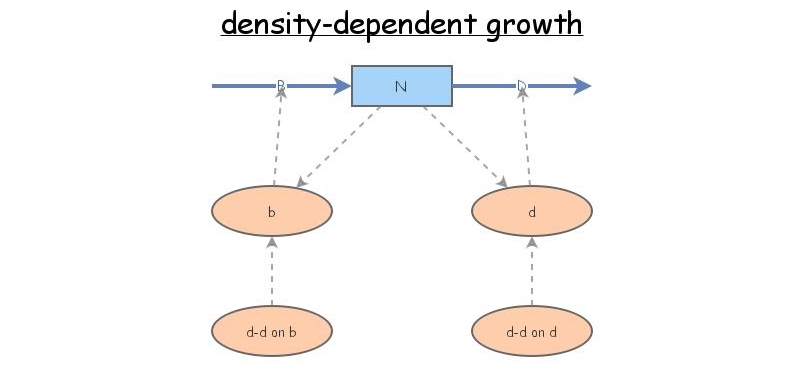 density-dependent growth | Insight Maker