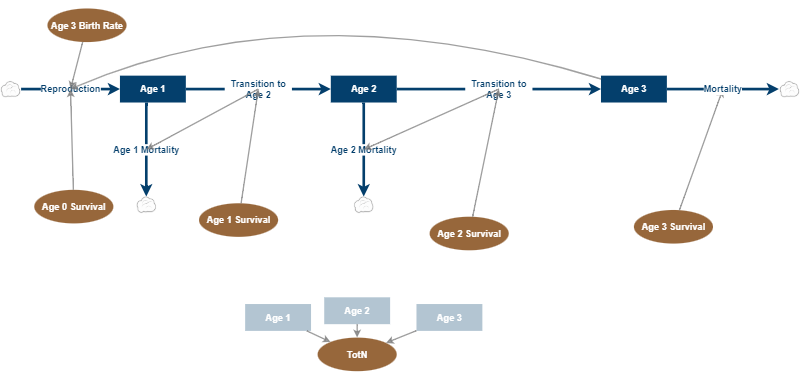 Lab4.Exercise2 | Insight Maker