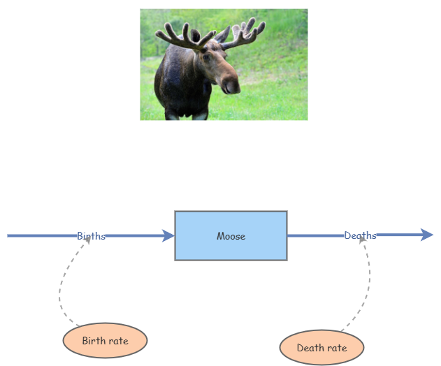 Step 3 - exponential growth model with demographic stochasticity ...