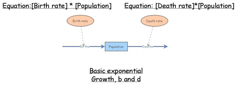 Basic exponential Growth, b and d | Insight Maker