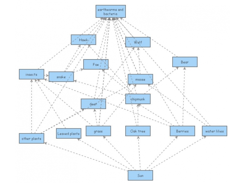 food web dec forest | Insight Maker
