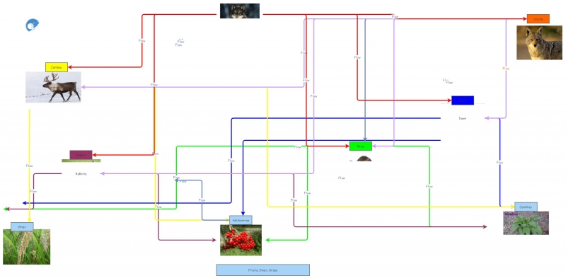 Food web | Insight Maker