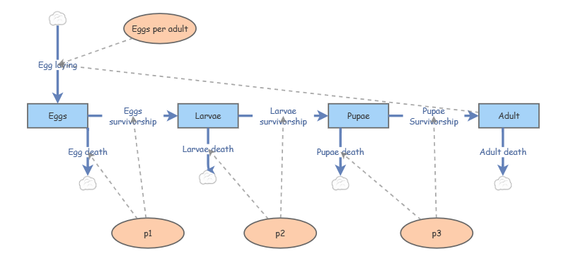 Leslie population model | Insight Maker