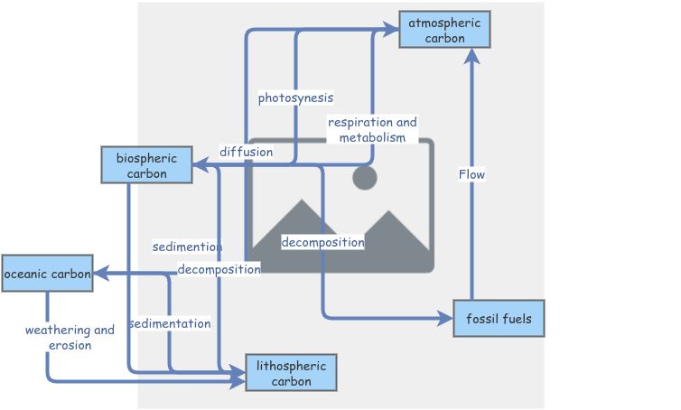 Carbon cycle | Insight Maker
