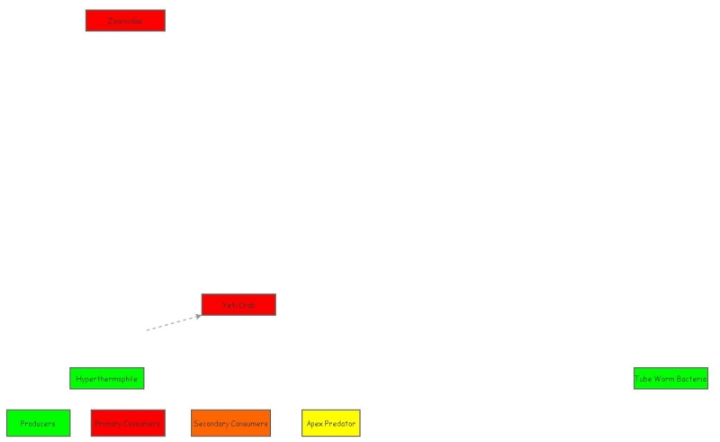 Mariana Trench Food Web | Insight Maker