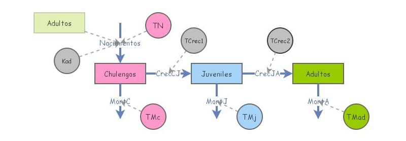 Repaso Guanacos Patagonia | Insight Maker