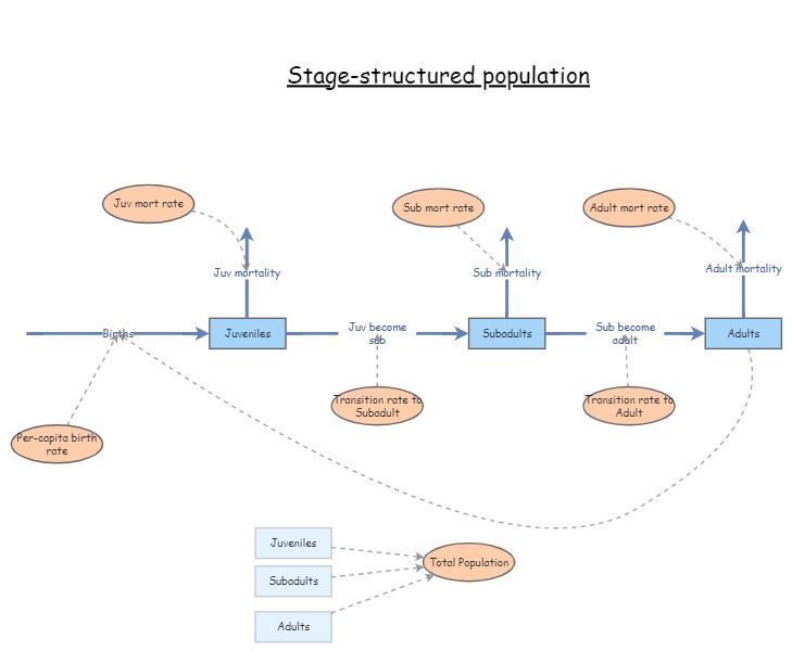 Clone of Stage-structured population | Insight Maker