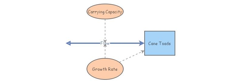 Cane Toads | Insight Maker