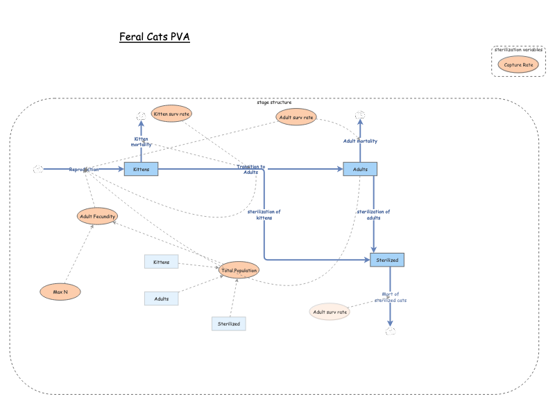 Clone of Feral Cats Initial PVA | Insight Maker