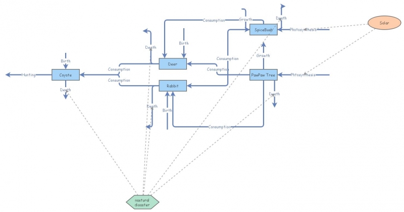 forest model | Insight Maker